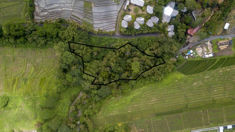 Yearly Rental Listings